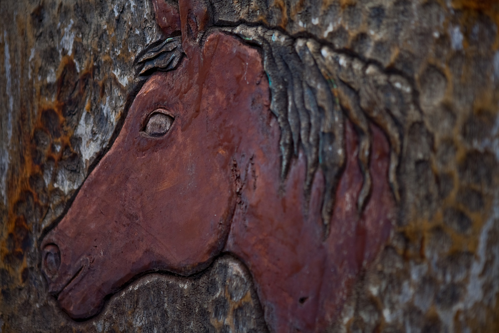 Oahu Horseback Riding | Go Hawaii