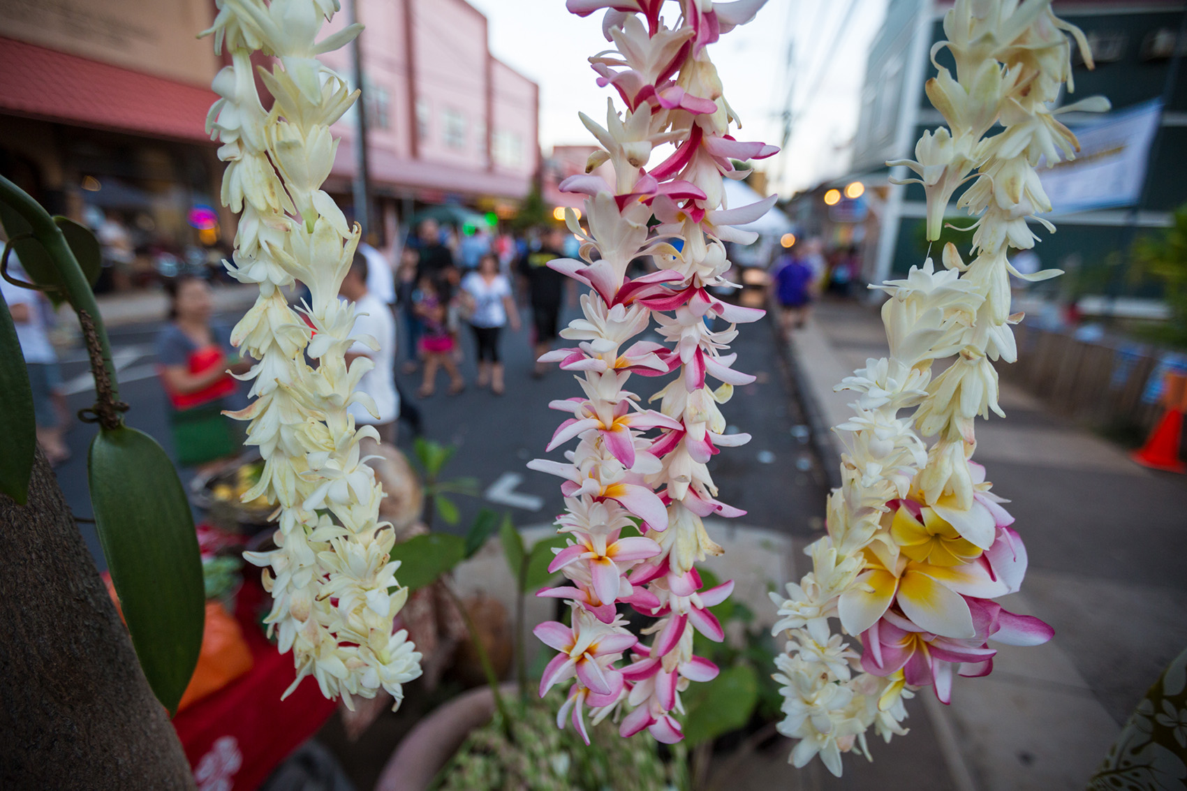 ハワイの伝統文化 - ハワイ州観光局 | Go Hawaii