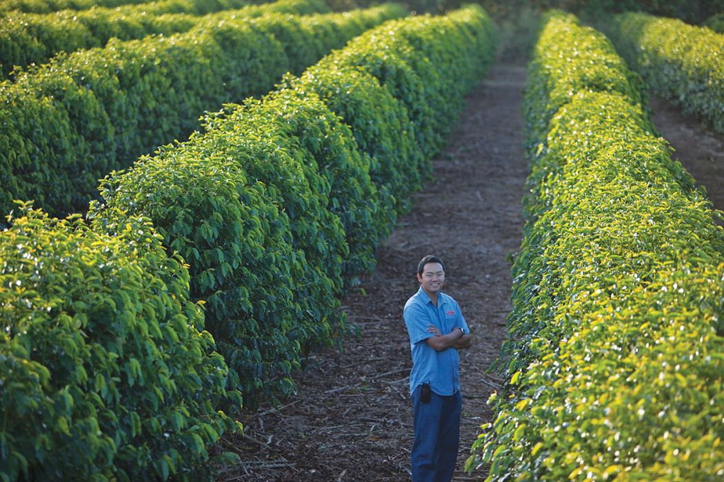 Kauai Coffee Company Visitor Center | Go Hawaii