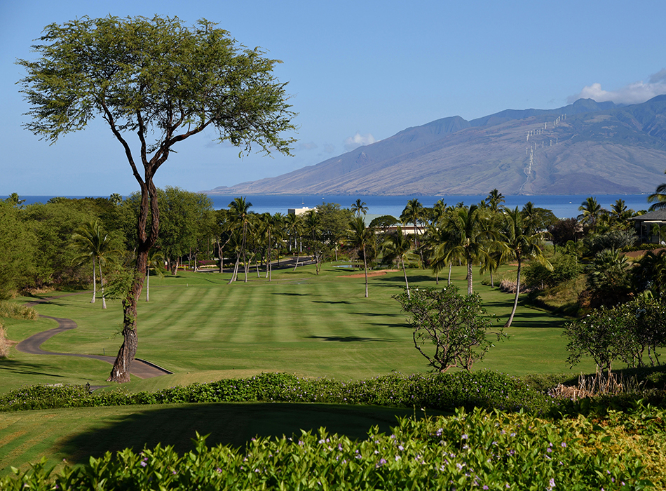 Wailea Golf Club - Blue Course | Go Hawaii