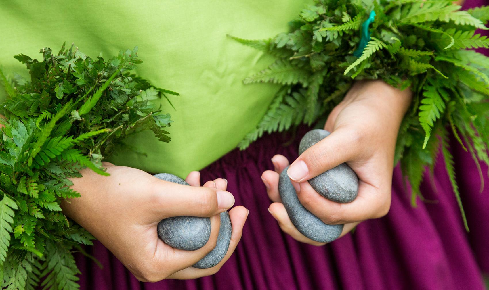 Kauai Hula | Hula on Kauai | Go Hawaii